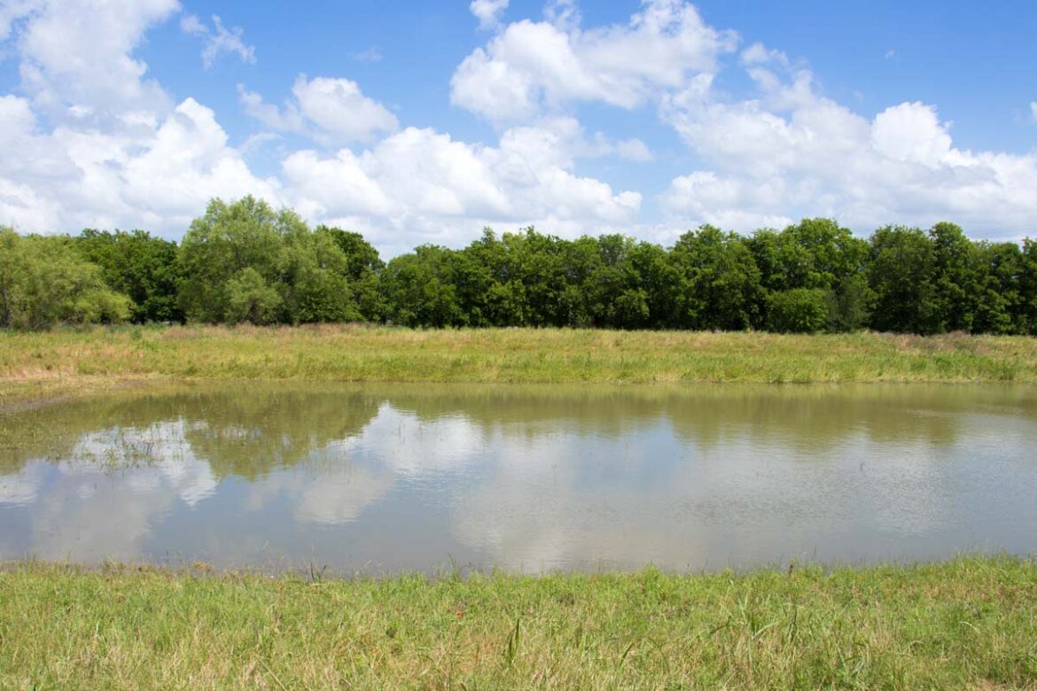 Stormwater Basin Rehabilitation - ONE Environmental Group